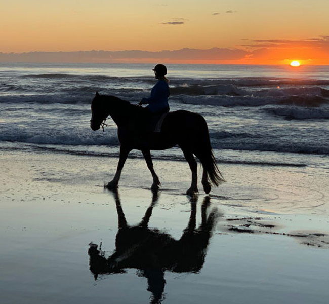 The ultimate guide to Shoalhaven Heads, NSW - South Coast Experiences The ultimate guide to Shoalhaven Heads, NSW - South Coast Experiences