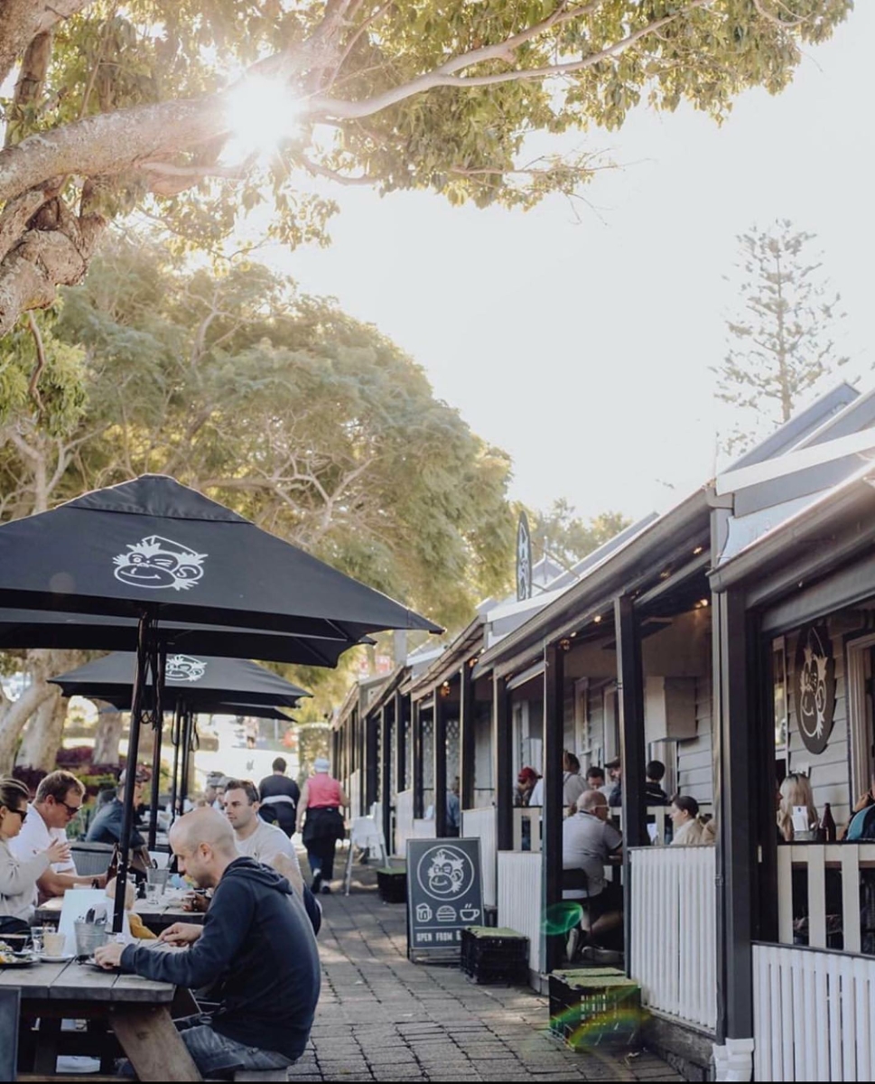 The Hungry Monkey - South Coast Experiences