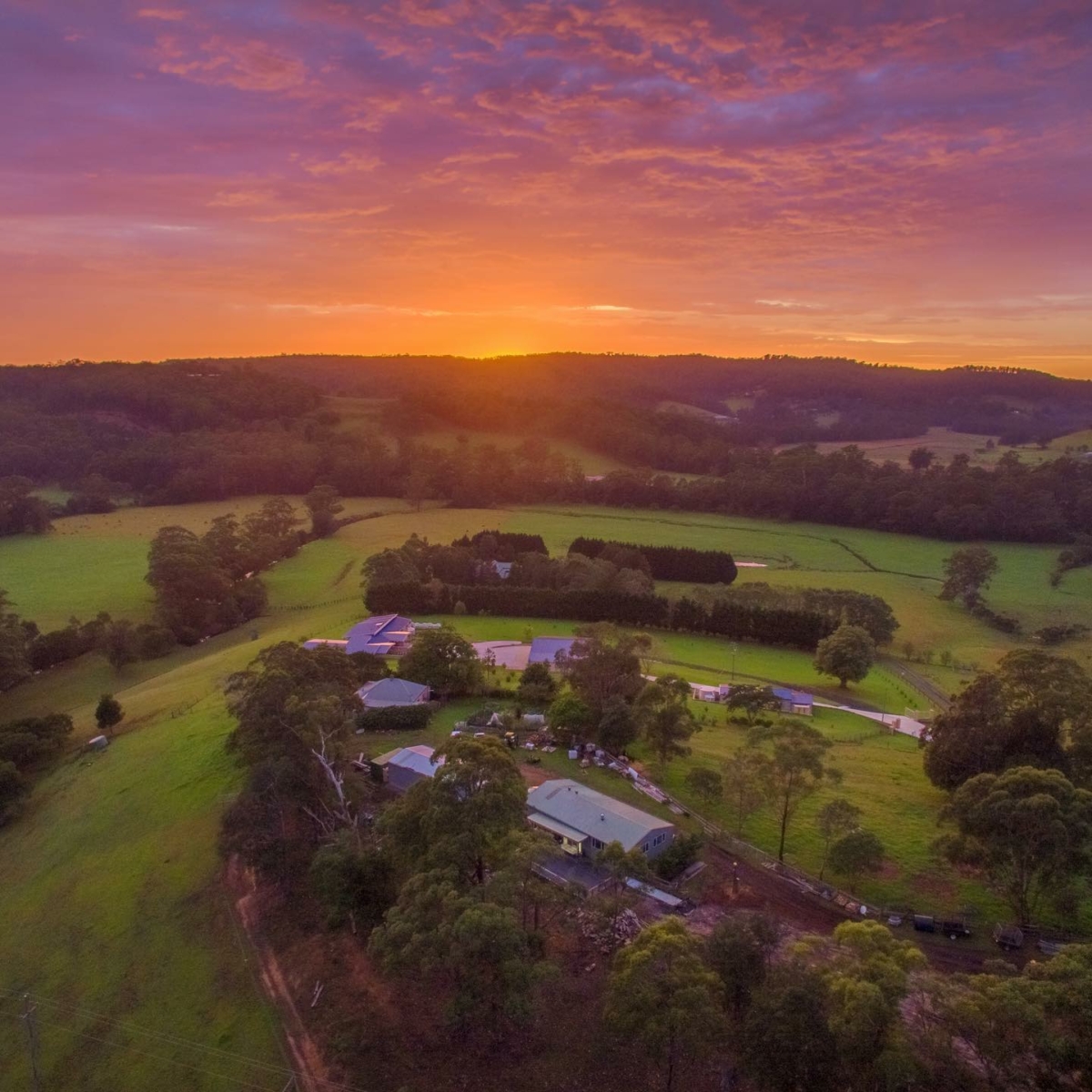 Martins Ridge Farm - South Coast Experiences