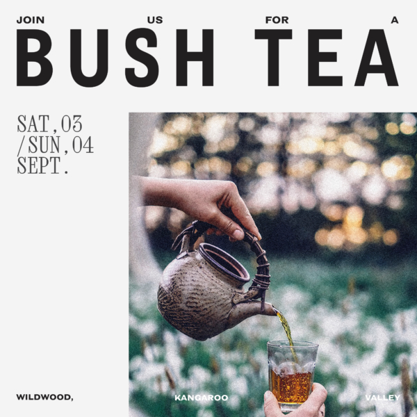 Wildwood Bush x Cherry Moon: A Bush Tea - South Coast Experiences