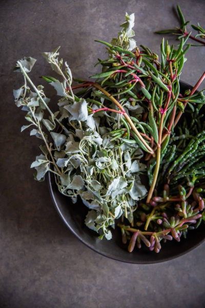 Coastal Forage - South Coast Experiences